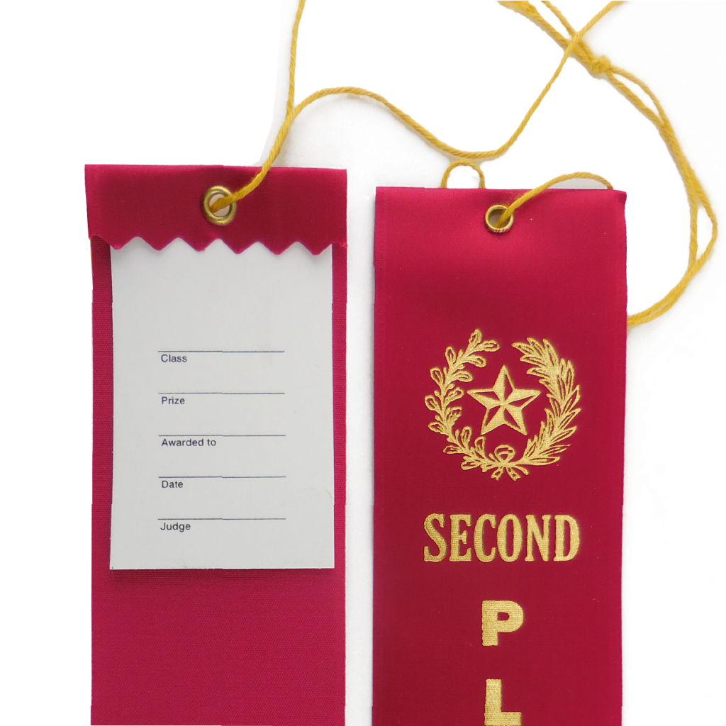 2nd PLACE RED RIBBON – Blades Trophies