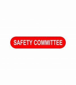 Safety Committee Badge – Blades Trophies