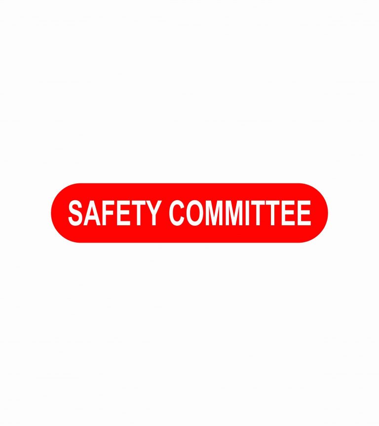 Safety Committee Badge – Blades Trophies